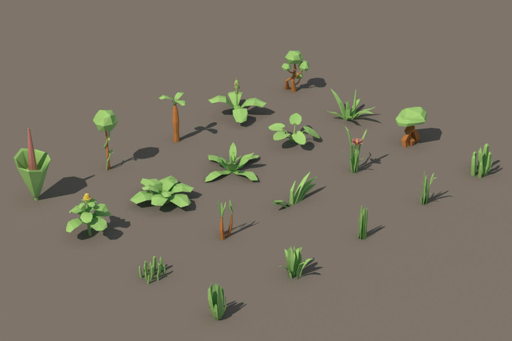 Tropical Plant 3D Low Poly Models - CraftPix.net